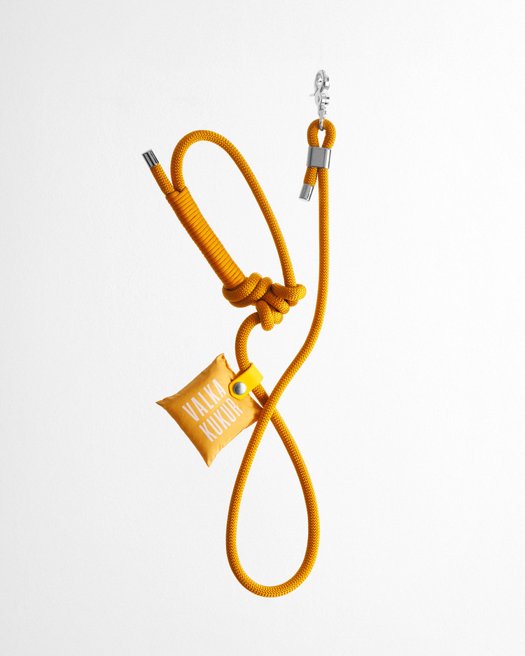 leash