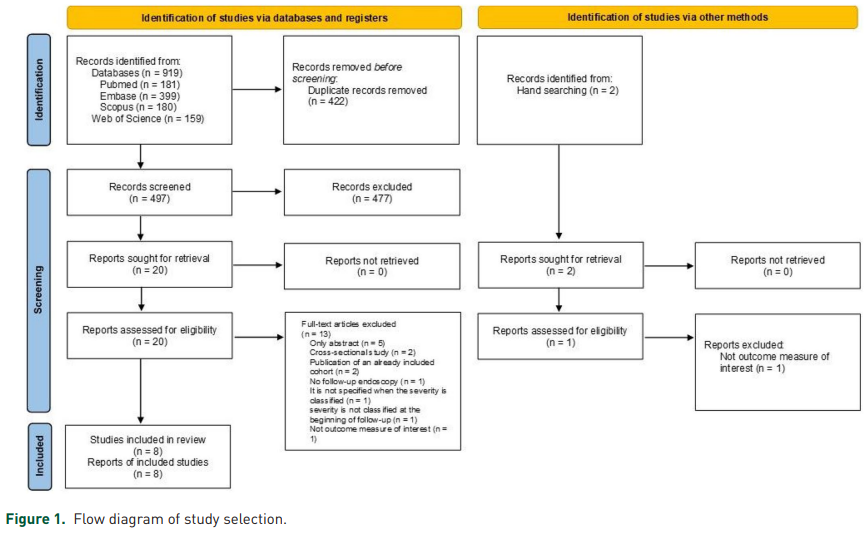 OLGA and OLGIM staging systems on the risk assessment of gastric cancer ...