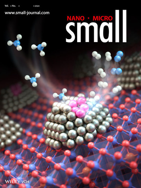 Wiley Small Publishing News