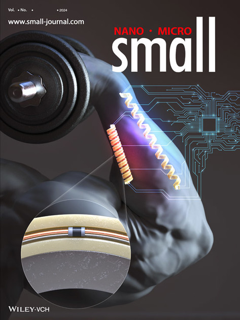 Wiley_Small : Publishing News