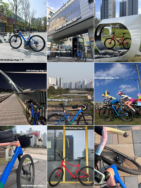 COG Challenge Stage 1 달성 인증 : 캐논데일 오너스 그룹