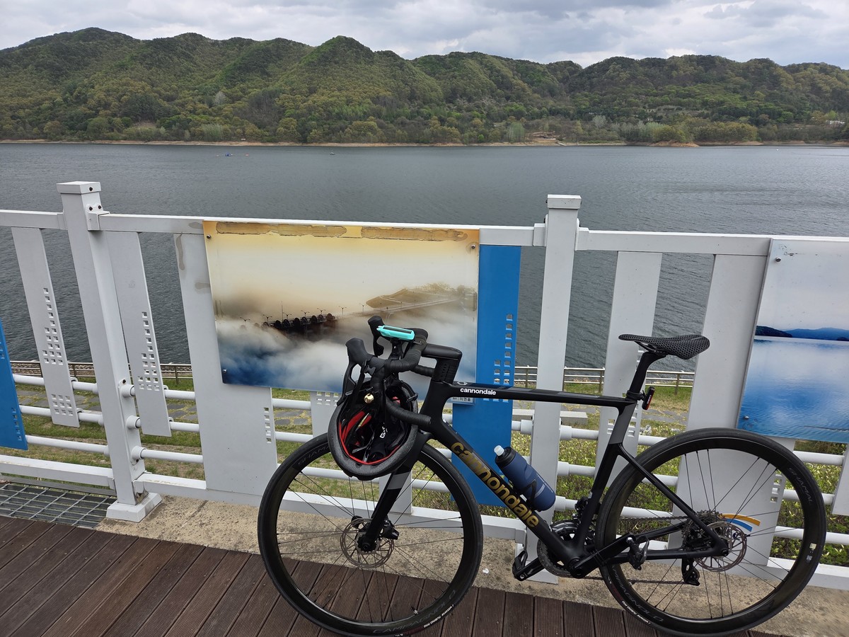 COG Challenge Stage 1 달성 인증 : 캐논데일 오너스 그룹