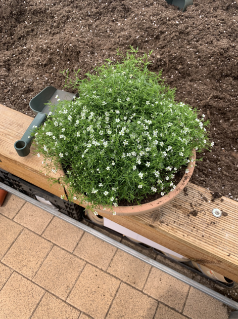 4월 행복 일기 🏻 : supul