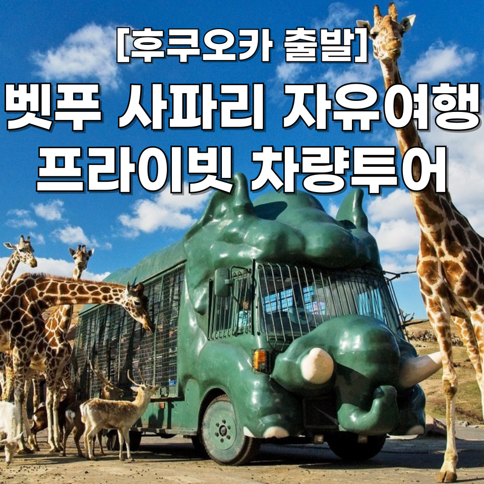 후쿠오카 출발 벳푸 사파리 자유여행 프라이빗 일일 차량투어 맞춤투어 가능한 덕아웃 투어 덕아웃 투어 ️ 일본 골프 · 일본 자유여행 · 발리 프라이빗 투어 전문 여행사