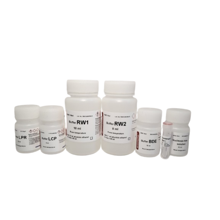pURE Plant RNA kit (식물 RNA 추출키트) : 파파랩