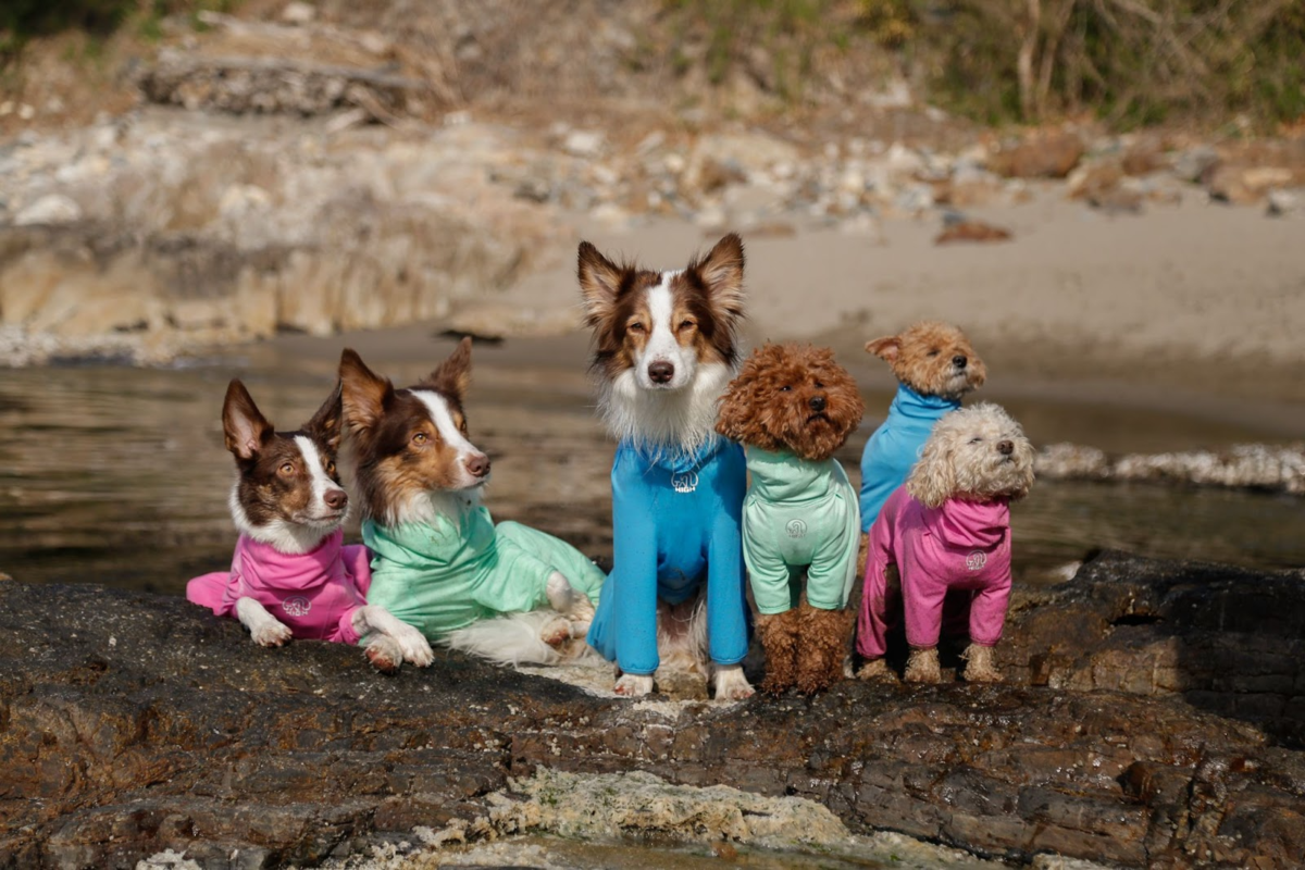 [Note #5] Cooling Active Suit Field Test : TRIP & ACTIVITY