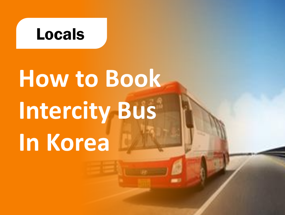 How to Book Intercity Buses Online – A Complete Guide for Travelers ...