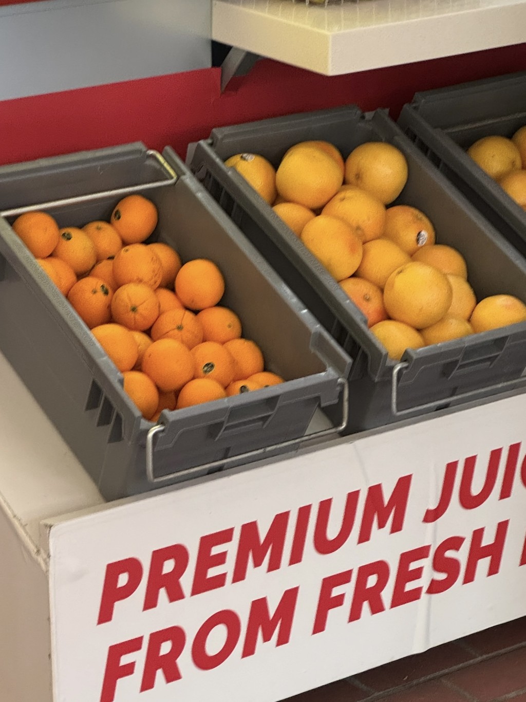 개인결제창 : Mooder | 무드어