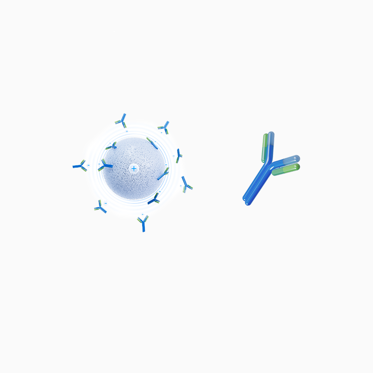 Purolite™ Praesto™ Q Protein 정제 레진