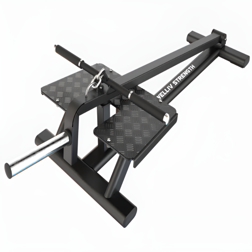 T바 로우 : ALLBING | 올빙