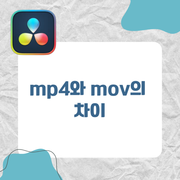 mp4와 mov 포맷의 차이 : 더 디앤에프 | The DnF
