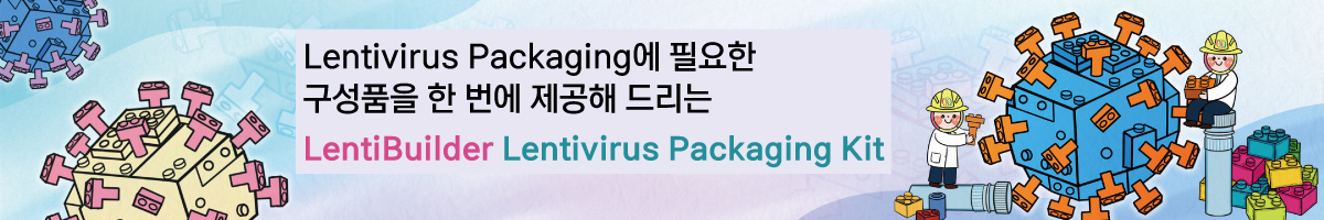 Lentivirus 패키징을 손쉽게 할 수 있는 LentiBuilder Lentivirus Packaging Kit. : VectorBuilder 제품 소개