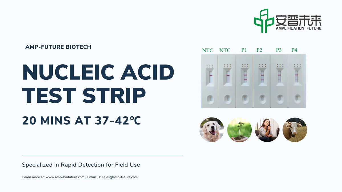 Nucleic Acid Detection Test Strips ( Lateral Flow Strips ) : MIRAmp ...