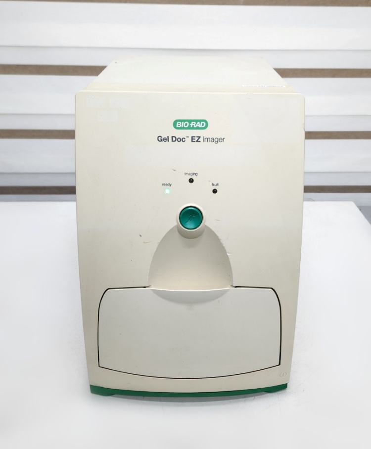BIO RAD GEL DOC EZ Imager : 엠아이티솔루션