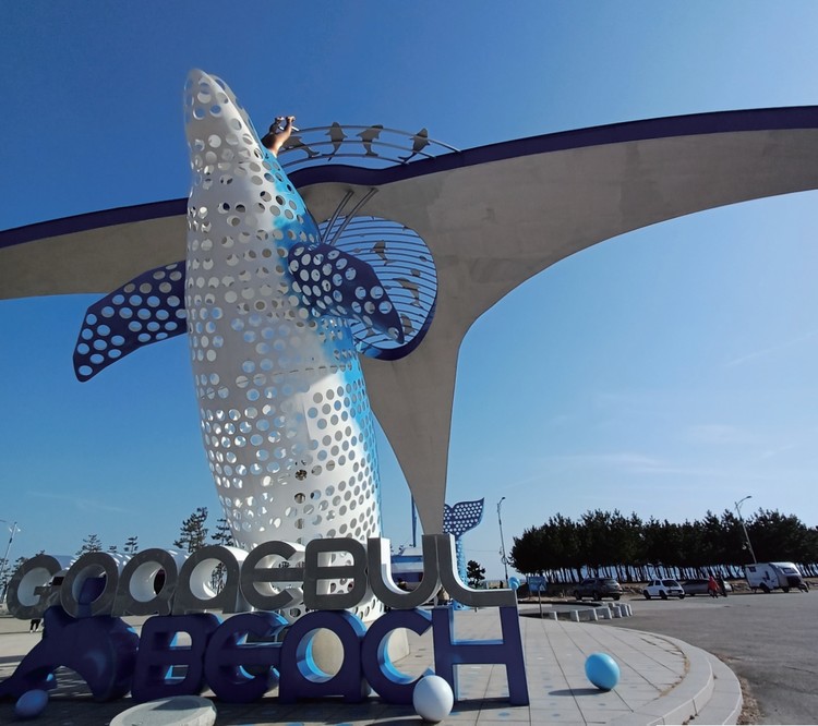 [KTX-1박] 동해선(강릉-고래불역) & 고래불해변& 울진죽변해안스카이레일& 백두대간 수목원단풍 & 부석사 단풍 기차여행 : 역장투어 - KTX로떠나는