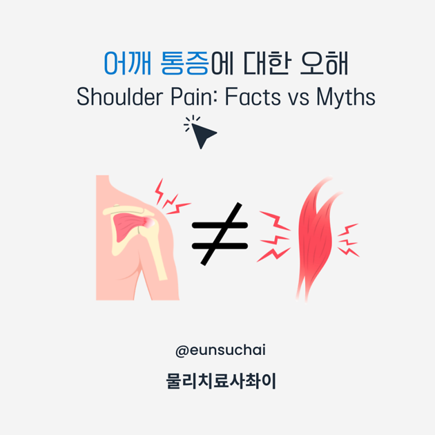 [PMR필라테스]어깨 통증, 흔한 오해 바로잡기 (Shoulder Pain: Facts vs Myths) : 건강한 움직임 ...