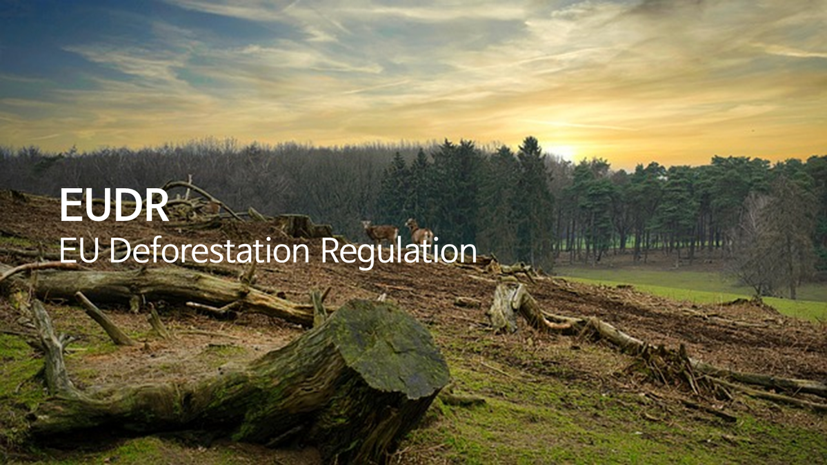 Regulation update: Introduction to EU Deforestation Regulation (EUDR ...