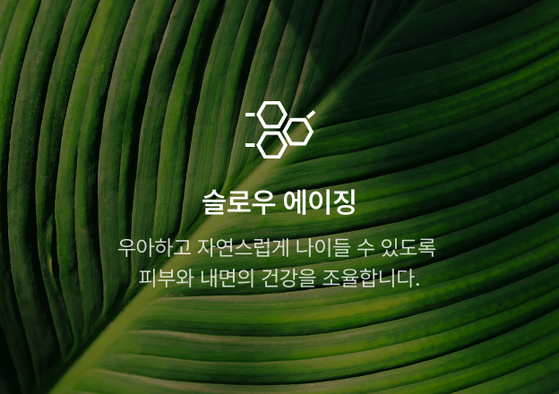 더모어피부과의원