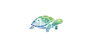 거북이 버프 turtle buff