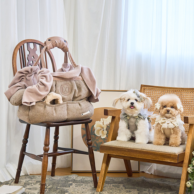 클라우드 라이닝파우치 4COLOR : 디자인포도그