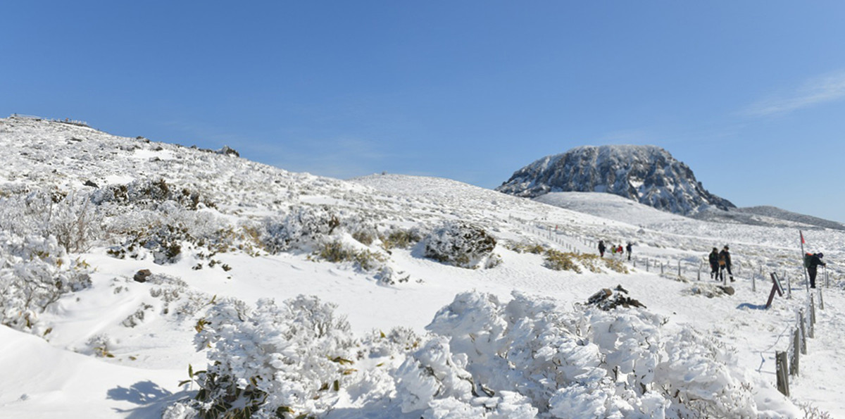 눈꽃 트레킹 PKG : Camphor Tree Hotel & Resort