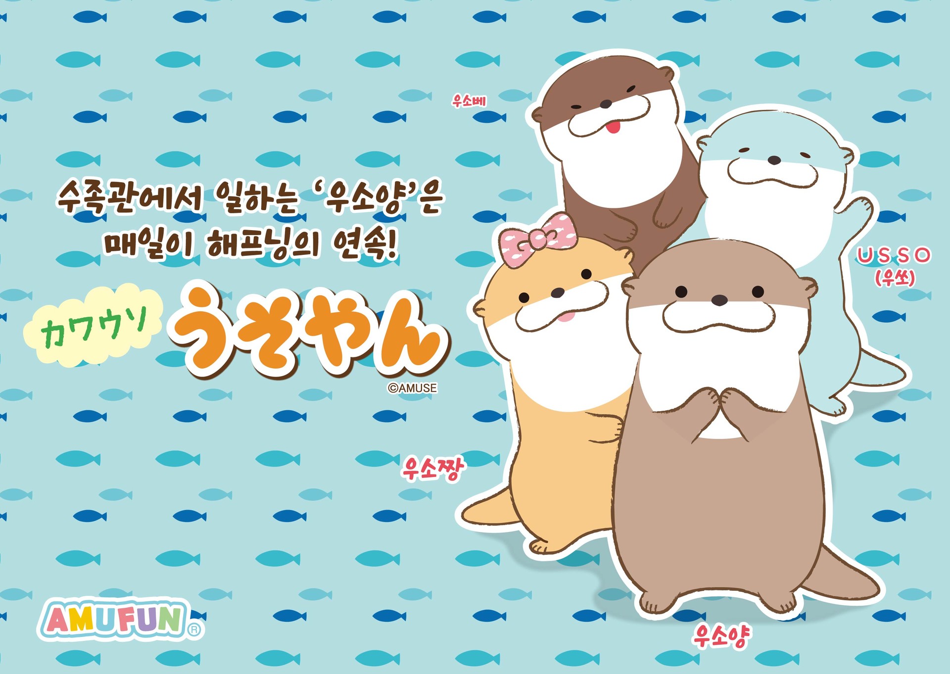 AMUFUN KOREA