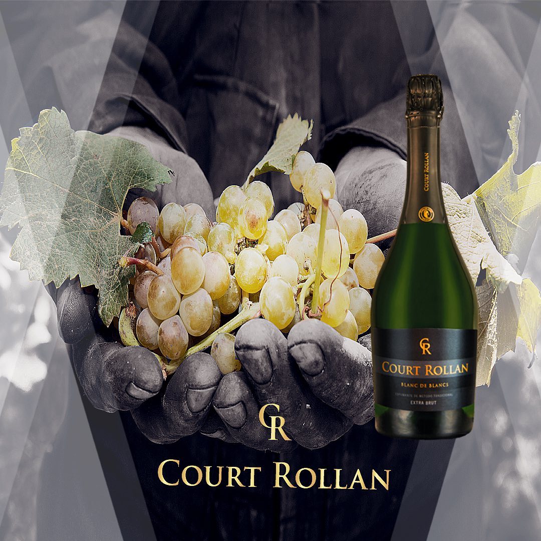 [종료] 카사 델 토키 코트 롤란 블랑 Casas del Tuqui Court Rollan Blanc de Blancs ...