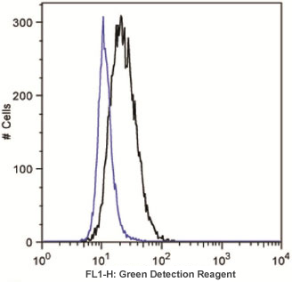 Autophagy Assay Kit : Abcam 제품 소개