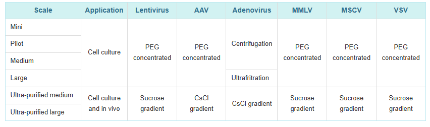 다양한 바이러스 실험에 사용할 수 있는 Premade Control Virus. : VectorBuilder 제품 소개