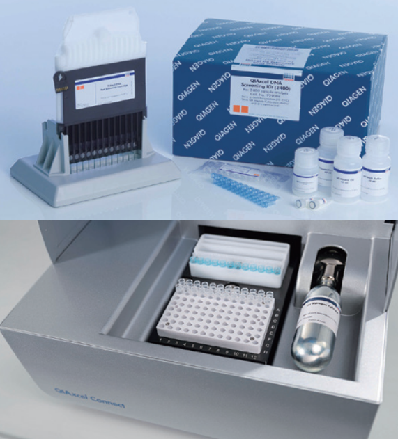 자동화 전기영동_QIAxcel Connect. : QIAGEN 제품 소개