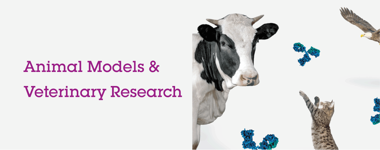 Animal Model & Veterinary Research 관련 자료 : Abcam 제품 소개