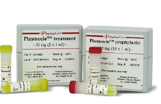 [뉴스레터 4월] IHC 실험을 위한 다양한 시약들을 한 번에 확인해 보세요 : News letter of BioCommunity