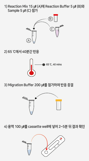 1시간 안에 검출 가능한 Mycoplasma Detection Kit : Invivogen 제품 소개