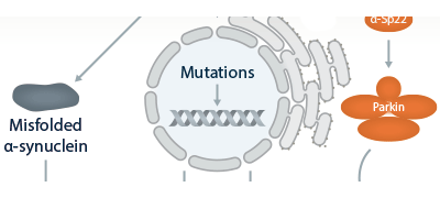 Ready-to-go KO/KI cell lines : Horizon 제품 소개