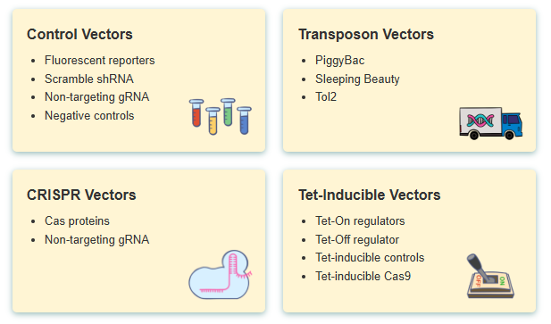 인기있는 vector를 검색하여 손쉽게 구매해 보세요! : VectorBuilder 제품 소개