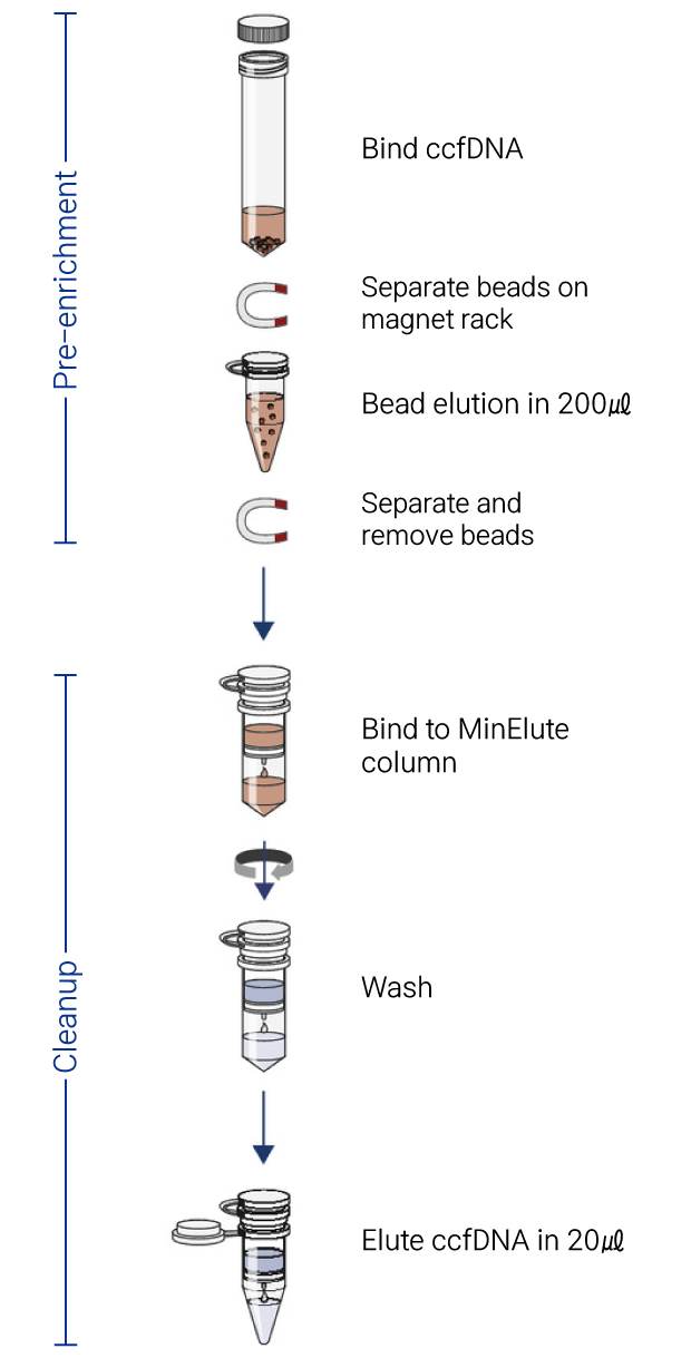 Cell free DNA & RNA 추출도 QIAGEN kit입니다! : QIAGEN 제품 소개