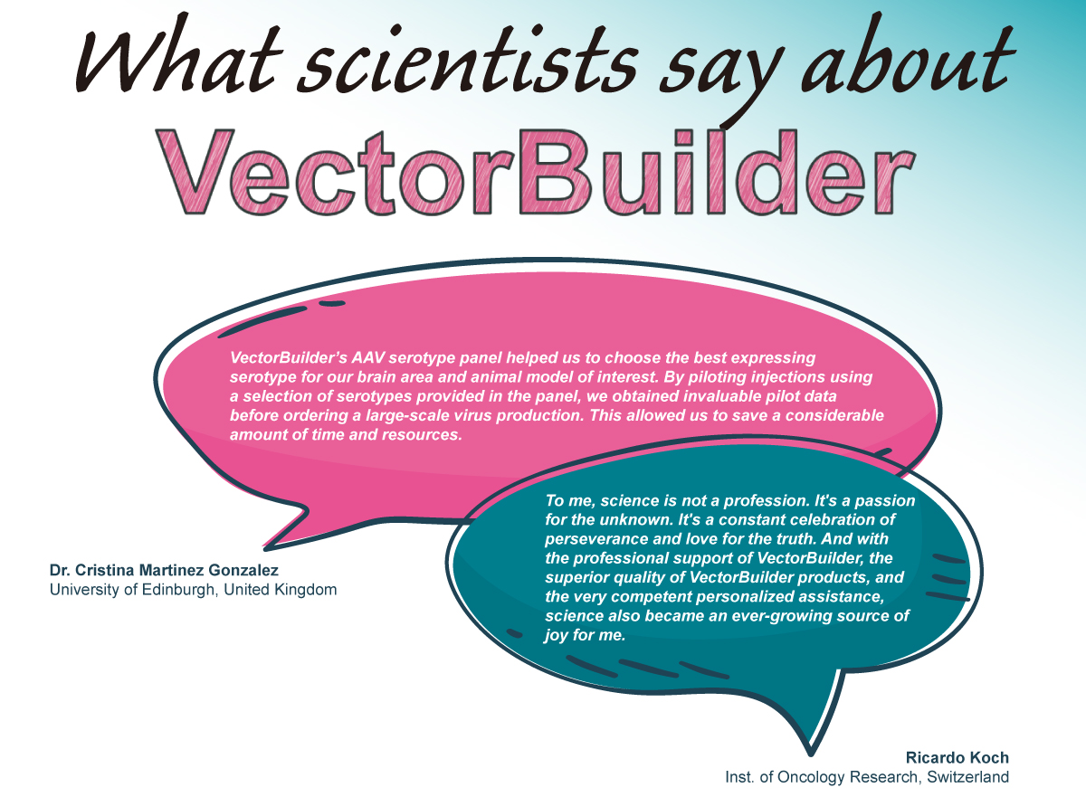 VectorBuilder에 추천글도 작성하고 할인 코드도 받아보세요! : VectorBuilder 제품 소개