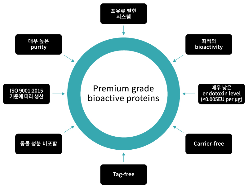 Premium grade bioactive proteins: 신뢰할 수 있는 결과를 얻으세요 : Abcam 제품 소개