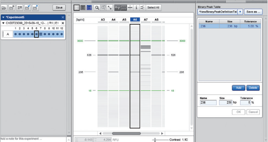 자동화 전기영동_QIAxcel Connect. : QIAGEN 제품 소개