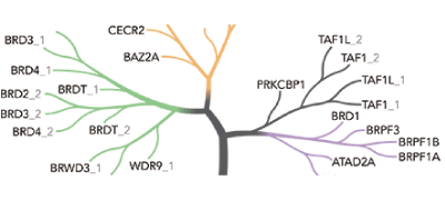Ready-to-go KO/KI cell lines : Horizon 제품 소개