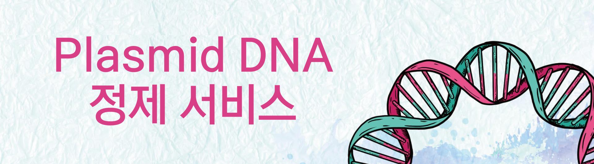 VectorBuilder의 Plasmid DNA 정제 서비스! : VectorBuilder 제품 소개