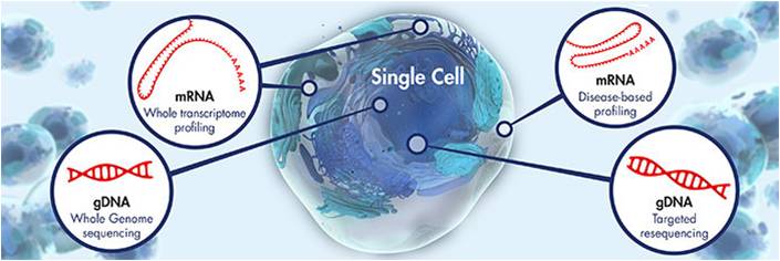 전체 핵산의 bias 없는 증폭, REPLI-g Kits. : QIAGEN 제품 소개