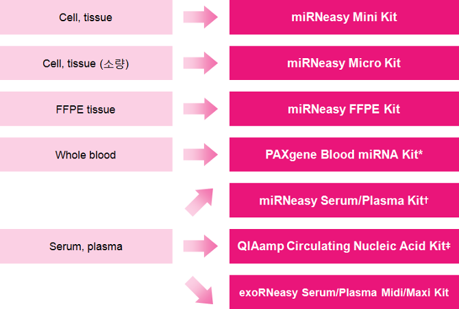 miRNA를 효과적으로 정제할 수 있는 다양한 제품을 소개합니다! : QIAGEN 제품 소개