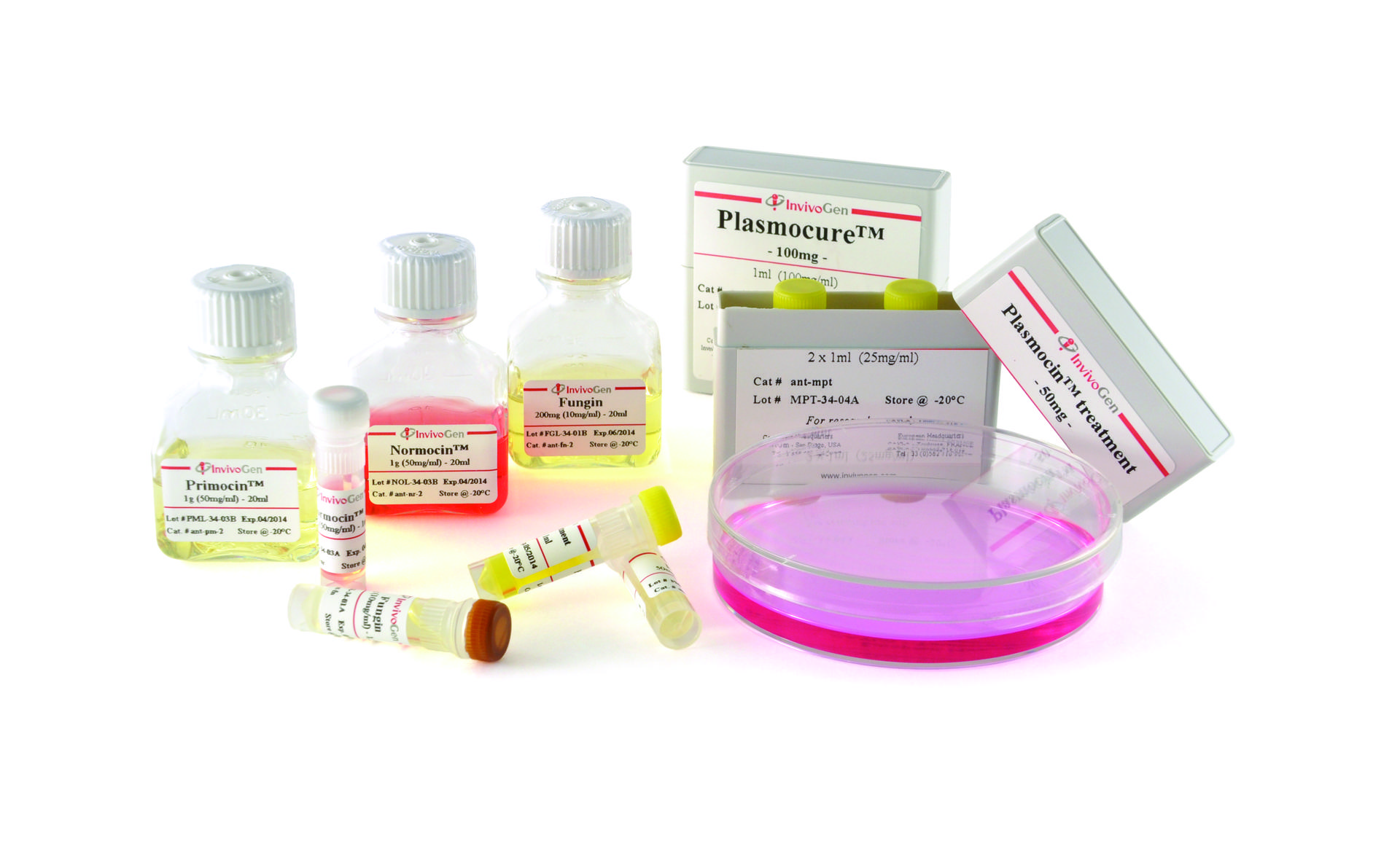 Antimicrobial Reagents - Bacteria : Invivogen 제품 소개