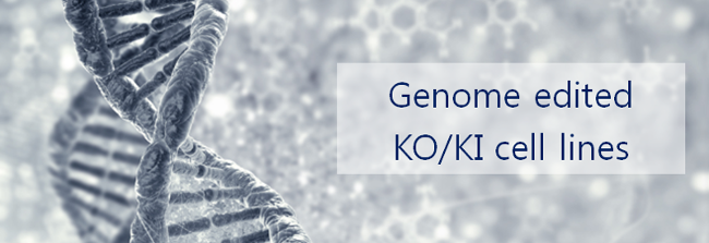 신제품신기술 > Bio마켓 > BRIC