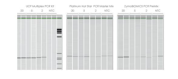UCP MultiPlex PCR Kit. : QIAGEN 제품 소개