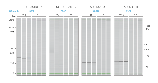UCP MultiPlex PCR Kit. : QIAGEN 제품 소개
