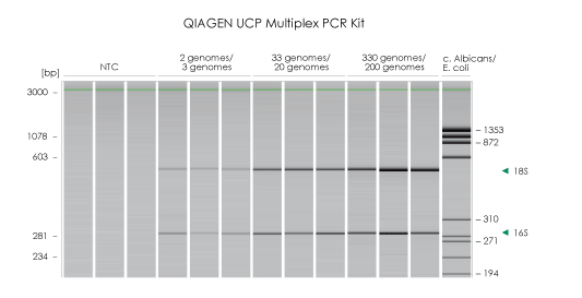 UCP MultiPlex PCR Kit. : QIAGEN 제품 소개