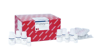 하나의 샘플로부터 gDNA, RNA, Protein 추출이 가능한 AllPrep Kits. : QIAGEN 제품 소개