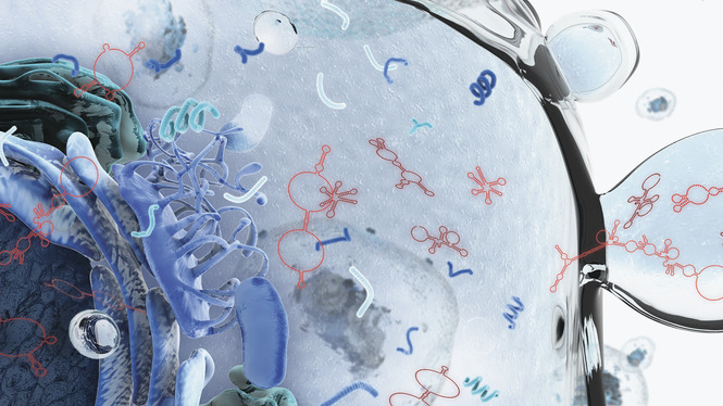 Exiqon LNA Products. : QIAGEN 제품 소개